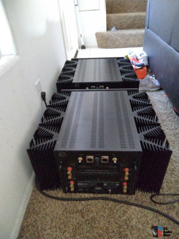 Plinius SA 250 Mk4 (2 available) Photo #4658644 - US Audio Mart