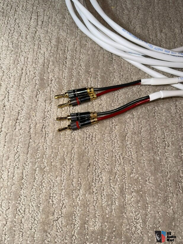 Blue Jeans Cable Ten White Speaker Cable Set of Two 12 Feet Each 10 AWG ...