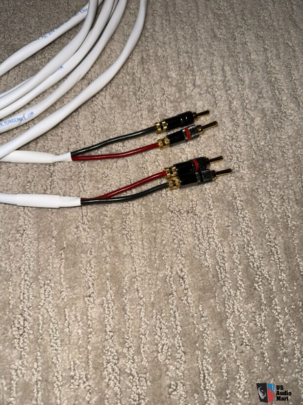 Blue Jeans Cable Ten White Speaker Cable Set of Two 12 Feet Each 10 AWG ...