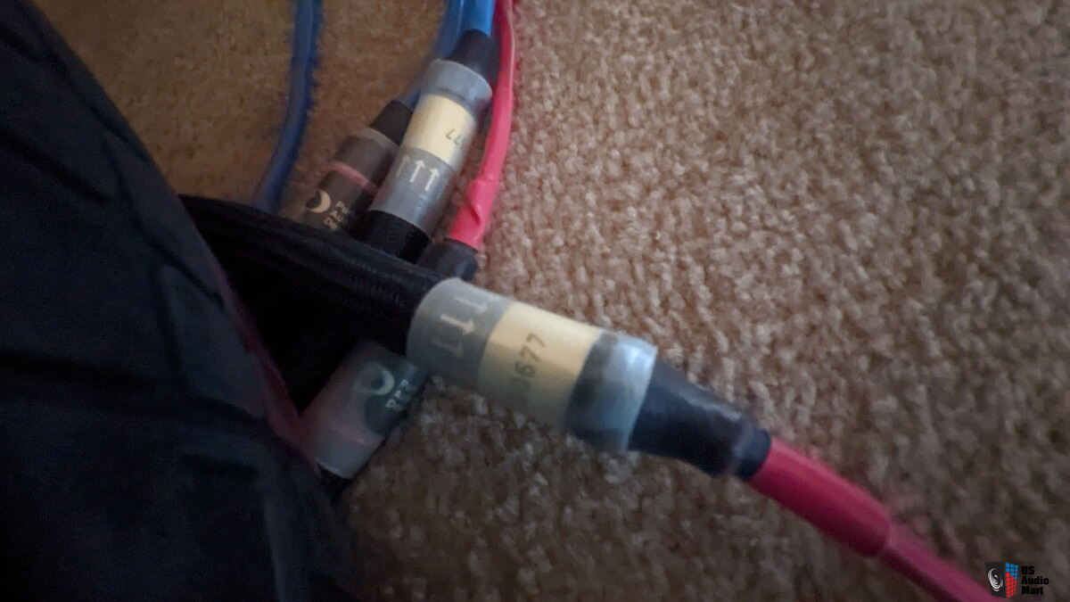 Purist Audio Design Colossus speaker cable Photo #4664278 - Aussie ...