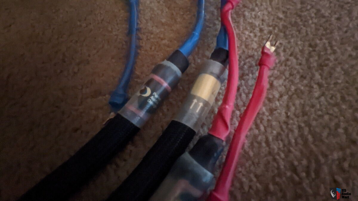 Purist Audio Design Colossus speaker cable Photo #4664275 - US Audio Mart