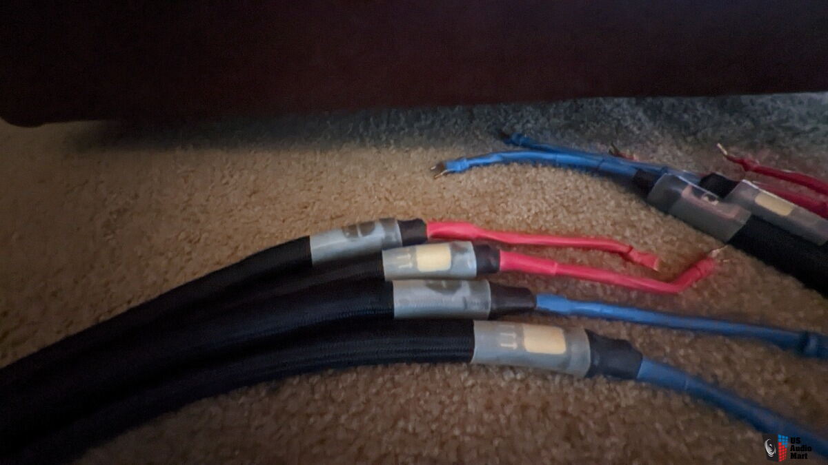 Purist Audio Design Colossus speaker cable Photo #4664278 - Aussie ...