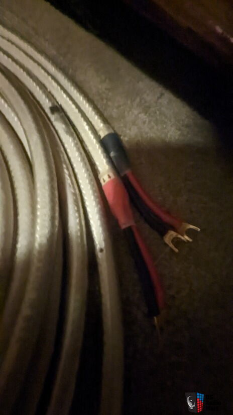 Straight wire Maestro 15 ft pair speaker cable Photo #4666554 - US ...