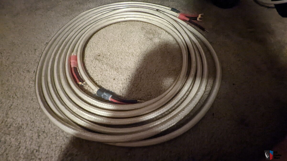 Straight wire Maestro 15 ft pair speaker cable Photo #4666556 - US ...