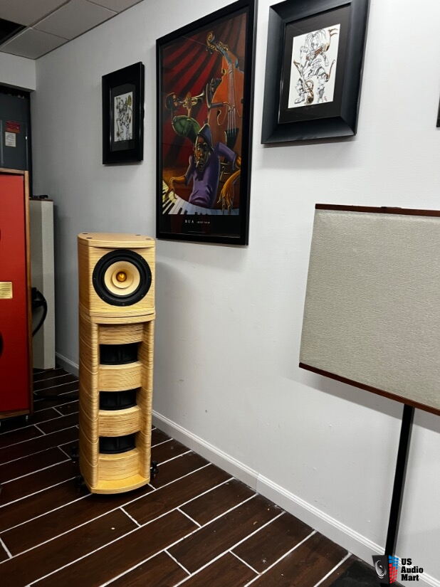 Surreal Fifth Row speakers in Birch Photo #4667890 - US Audio Mart