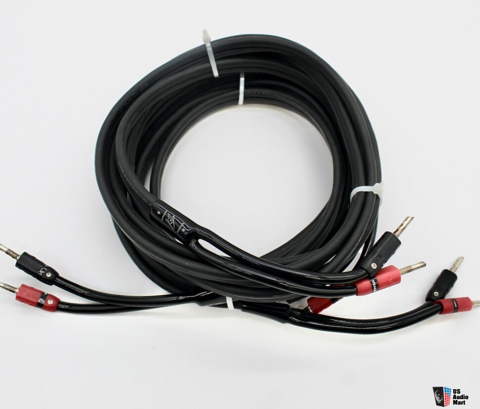 AudioQuest Rocket 11 10FT BFA Speaker Cable (Pair) Photo #4673814 - US ...