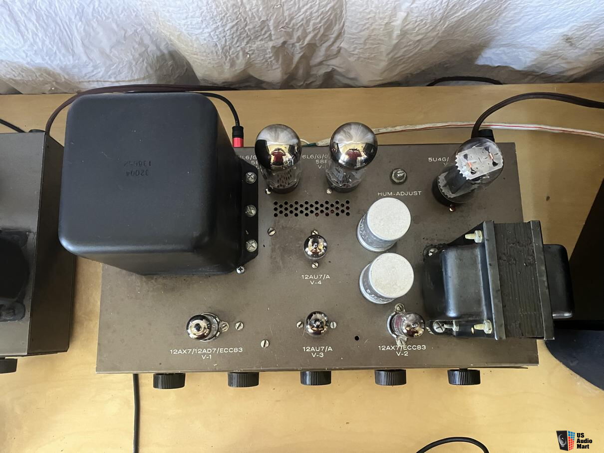 Pair of mono block amps. Eico HF20 Photo #4678857 - US Audio Mart