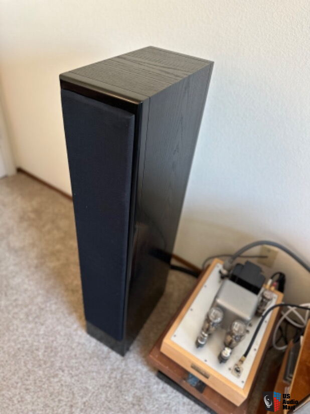 Vienna Acoustics Beethoven 1st Model Photo #4679943 - US Audio Mart
