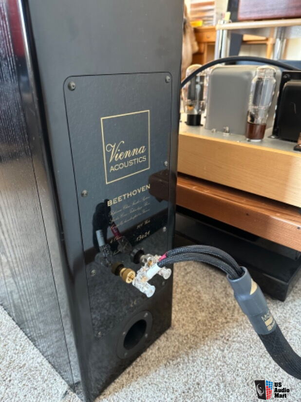 Vienna Acoustics Beethoven 1st Model Photo #4679943 - US Audio Mart