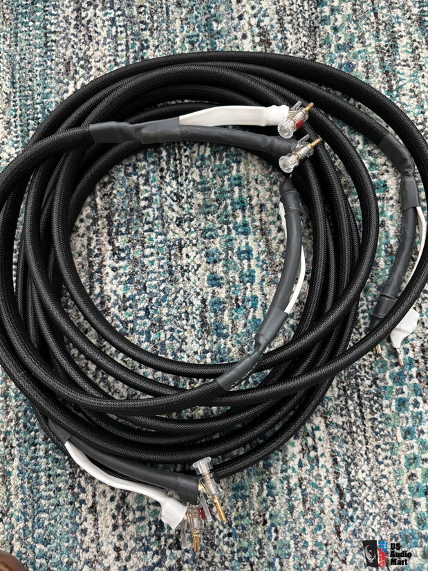 Analysis Plus Silver Apex Speaker Cables - 12ft For Sale - US Audio Mart