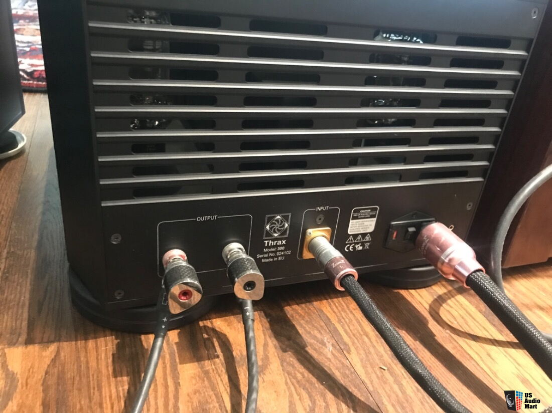 Thrax Audio Spartacus 300 Reference amps Photo #4685574 - US Audio Mart