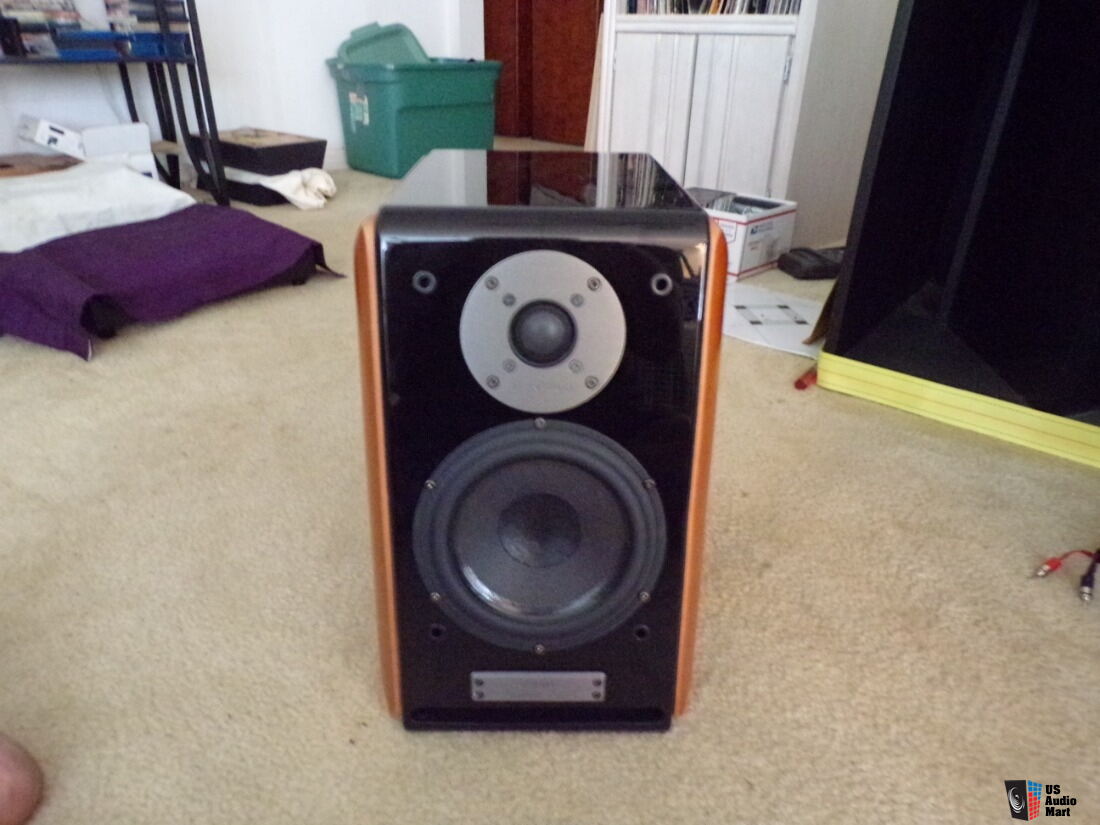 Usher BE -718 monitors/sale/sale pending Photo #4695602 - US Audio Mart