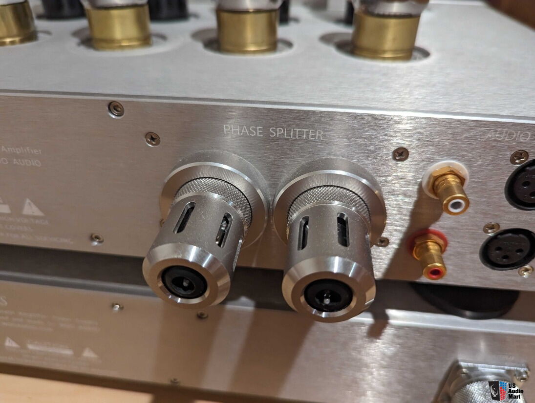 Woo WES (2nd Gen) Electrostatic Headphone Amplifier Photo #4696401 - US ...