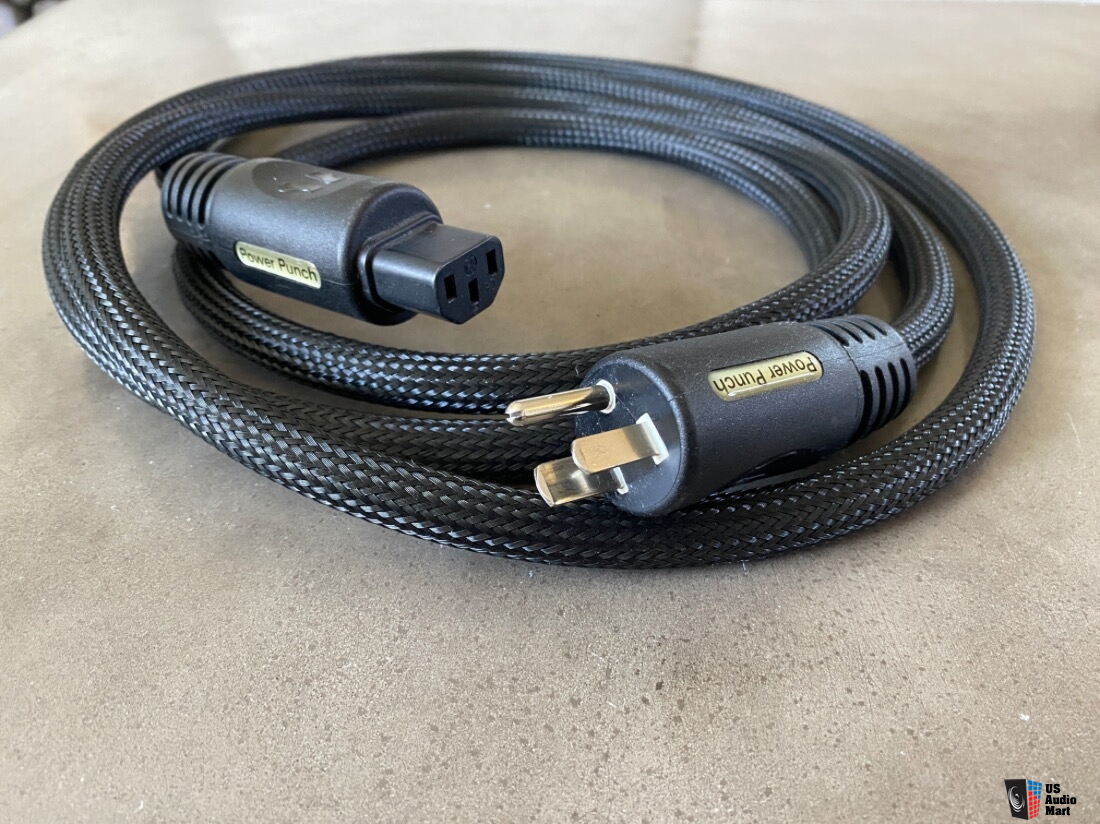 PS Audio Power Punch Cable - 10ft - Excellent! Photo #4699272 - US ...
