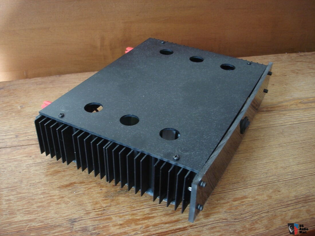 Gainclone power amplifier, by Tim Rawson, small footprint, free ship ...