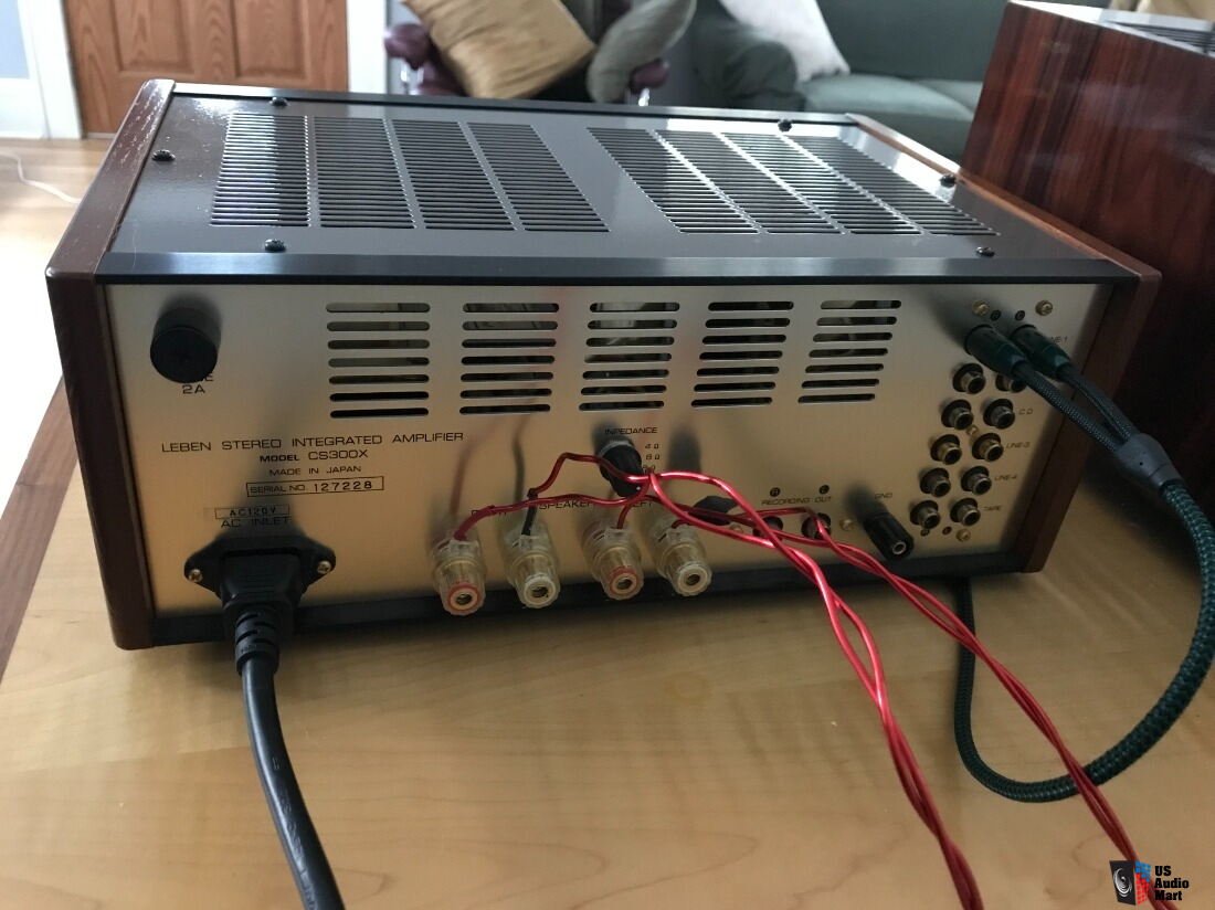 Leben CS-300X Integrated Amplifier Photo #4707051 - US Audio Mart