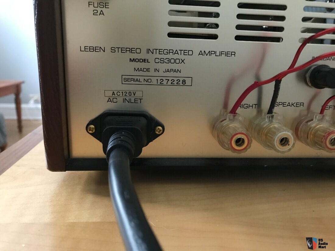Leben CS-300X Integrated Amplifier Photo #4707054 - US Audio Mart