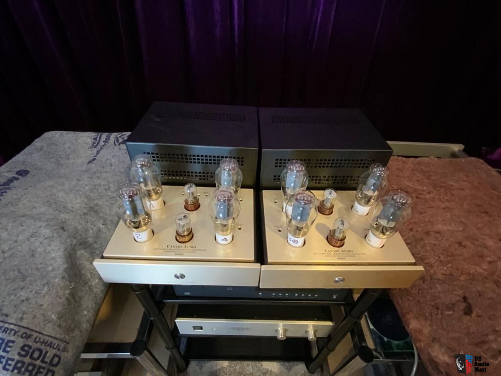 Canary Audio M350 Monoblock Tube amplifier Photo #4713600 - US Audio Mart
