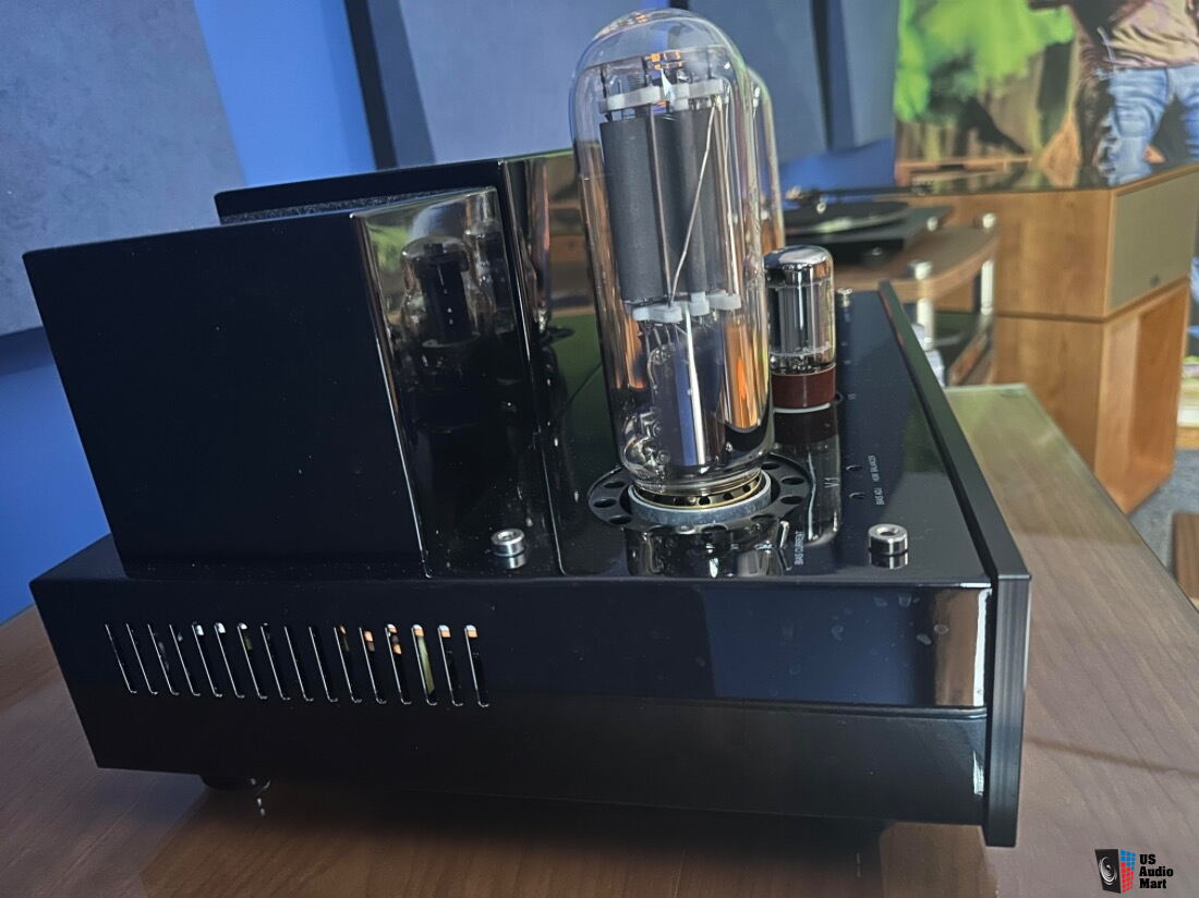 Line Magnetic 845iA integrated tube amplifier Photo #4714519 - US Audio ...