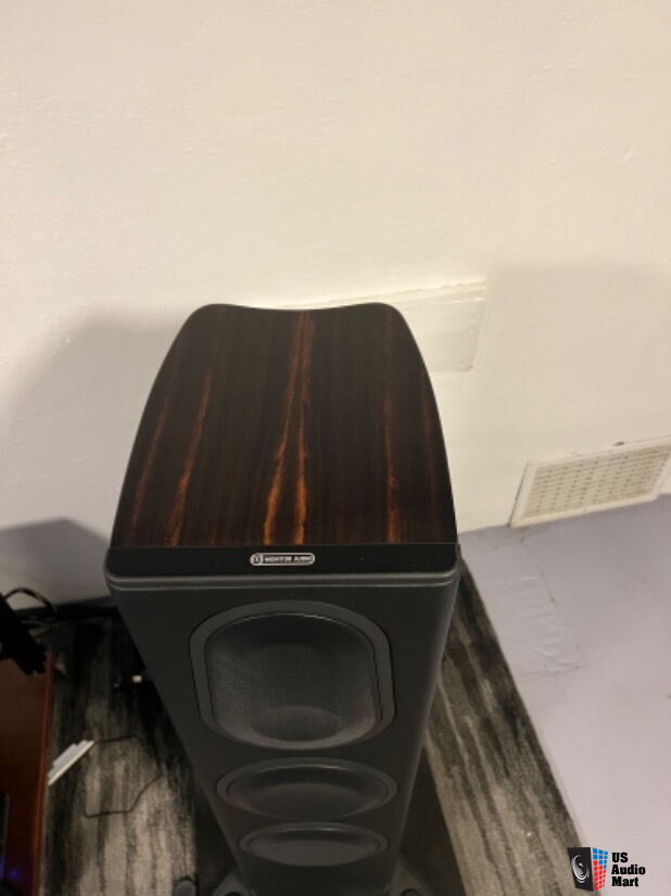 Monitor Audio Platinum PL200 II in Piano Ebony Photo #4722057 - US ...
