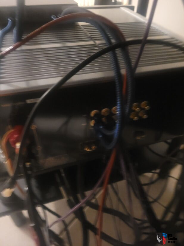 Mark Levinson red rose music. Affirmation integrated amp Photo #4727091 ...