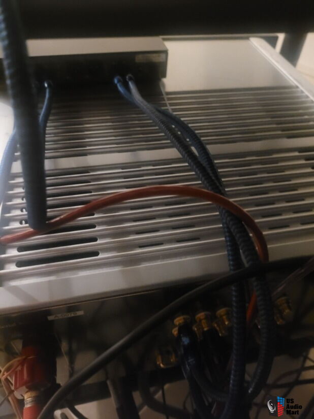Mark Levinson red rose music. Affirmation integrated amp Photo #4727091 ...
