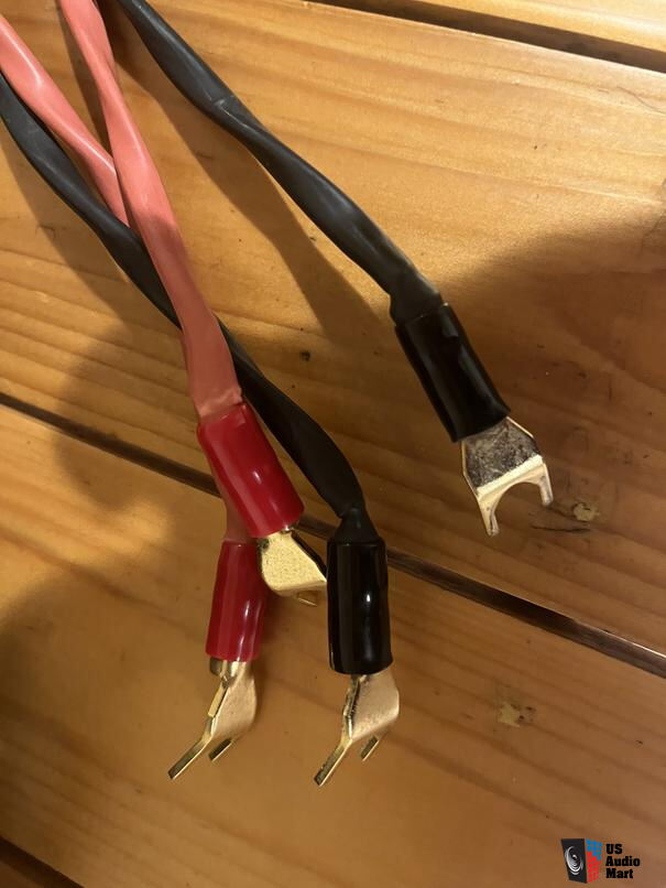 MIT AVT3 Speaker Cables (10 foot pair) Photo #4732809 - US Audio Mart