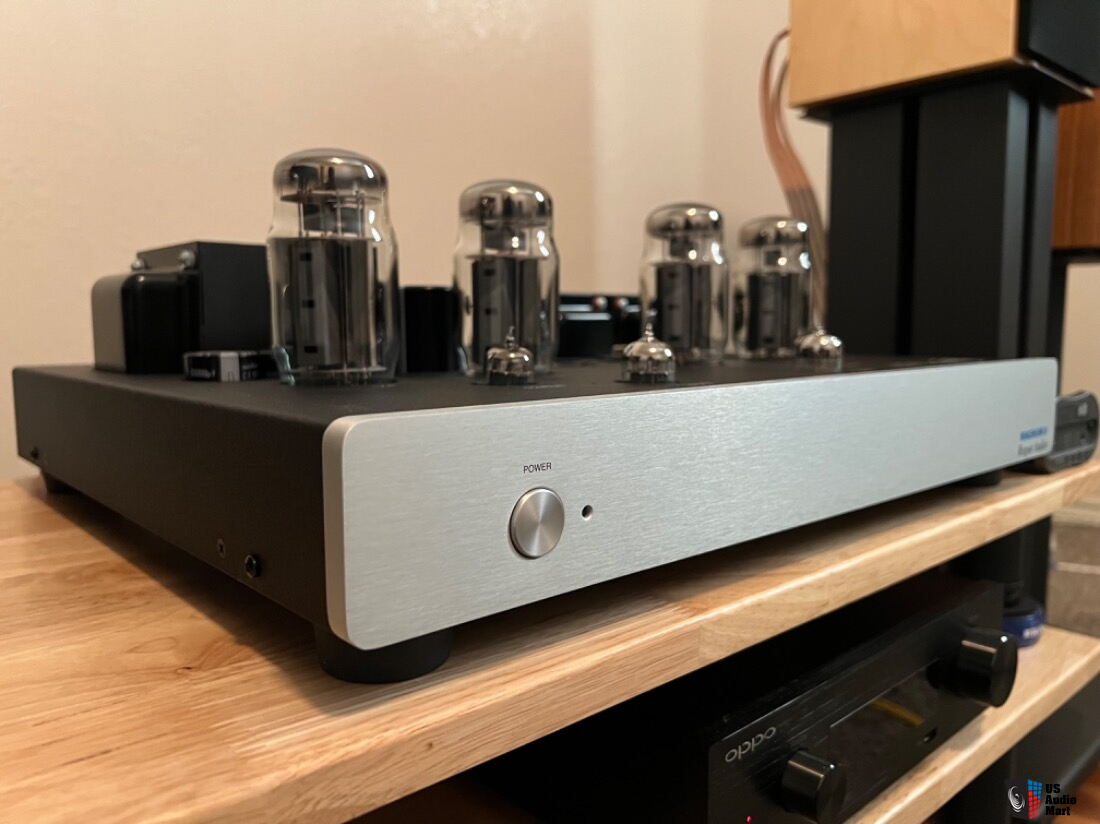 Rogue Audio Atlas MAGNUM II Photo #4747650 - US Audio Mart