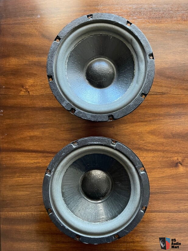 Von Schweikert VR-4 bass drivers (2) Photo #4748414 - US Audio Mart