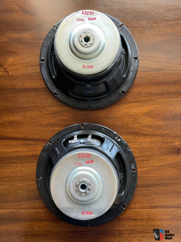 Von Schweikert VR-4 bass drivers (2) Photo #4748414 - US Audio Mart