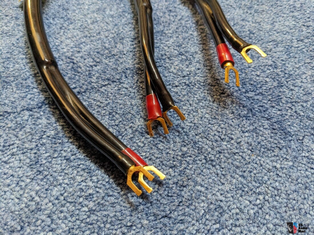 Transparent Audio MusicWave Speaker Cables (3 cables): 10' pair + 8 ...