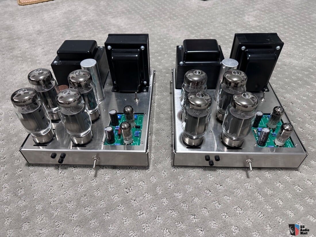 VTA M-125 Mono block tube amps Photo #4769035 - US Audio Mart