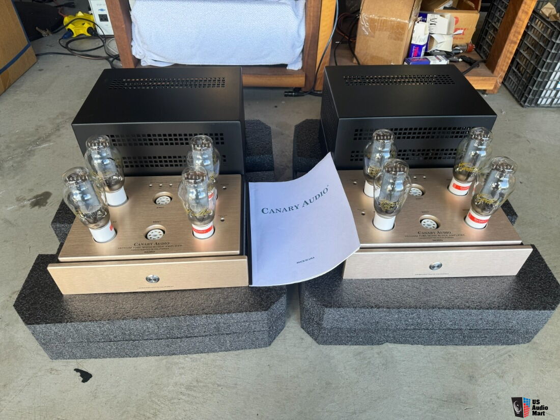 Canary Audio M350 300B Monoblock Amplifier Photo #4773331 - Canuck ...