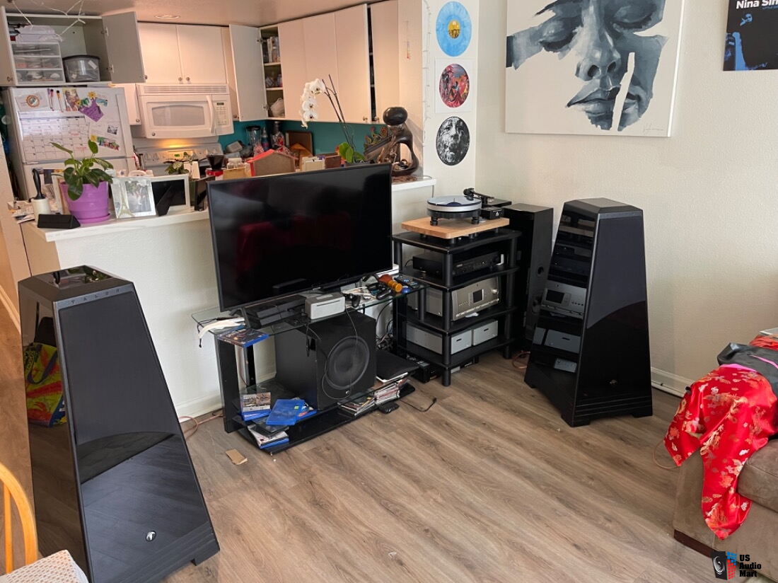 Talon Raven Speakers, Recent Khorus X-style crossover and tweeter ...