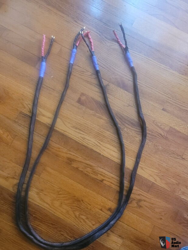 Amadi Cables. Maddie signature. 8ft , all spades Photo #4783043 - US ...