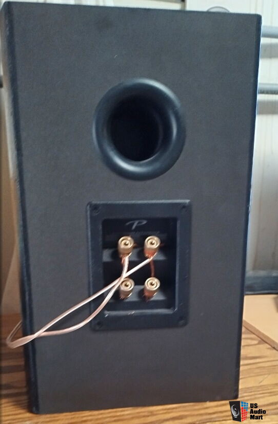 Paradigm Reference Monitor 20