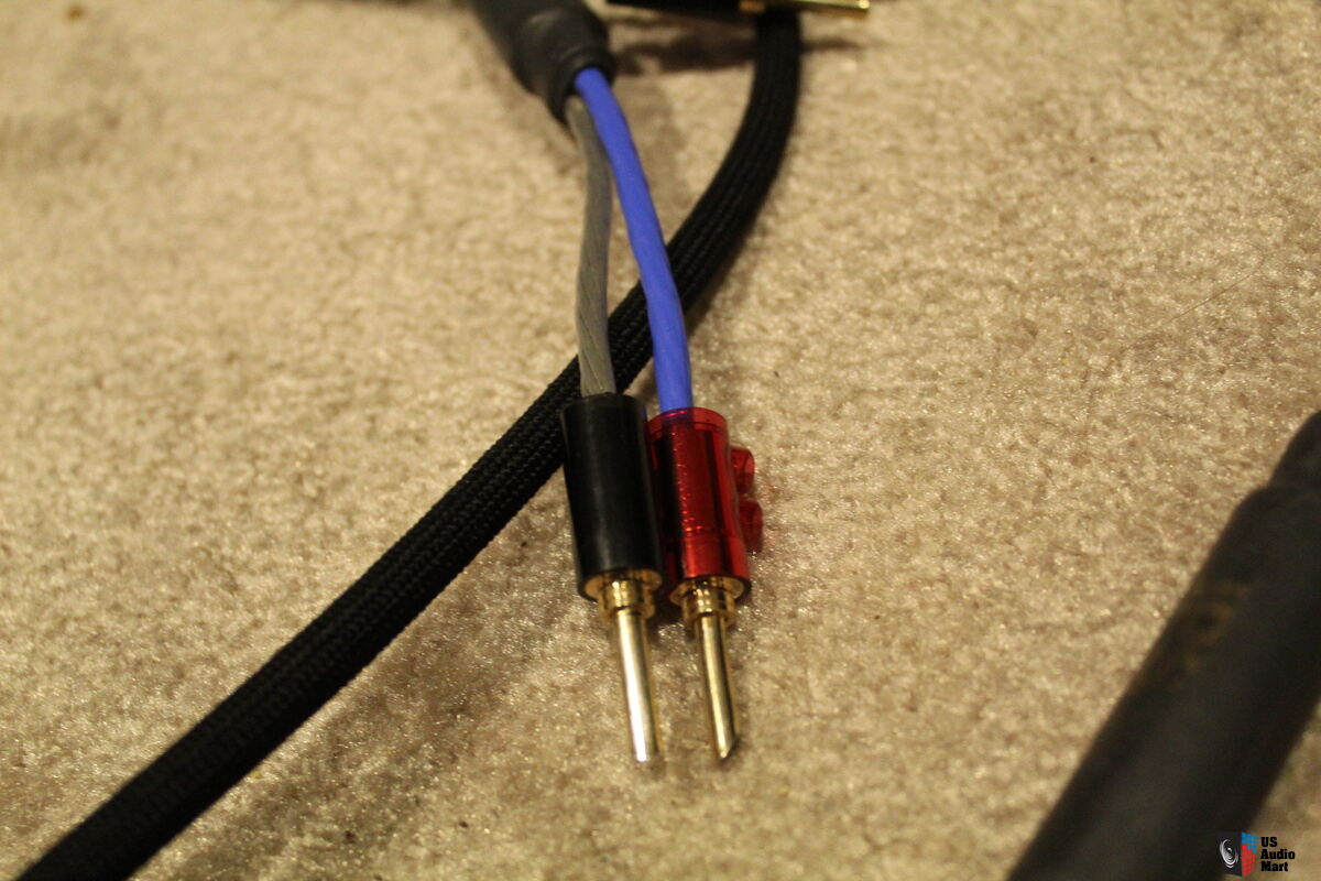 JPS Labs SuperConductor + 8ft Speaker cables Photo #4796512 - US Audio Mart