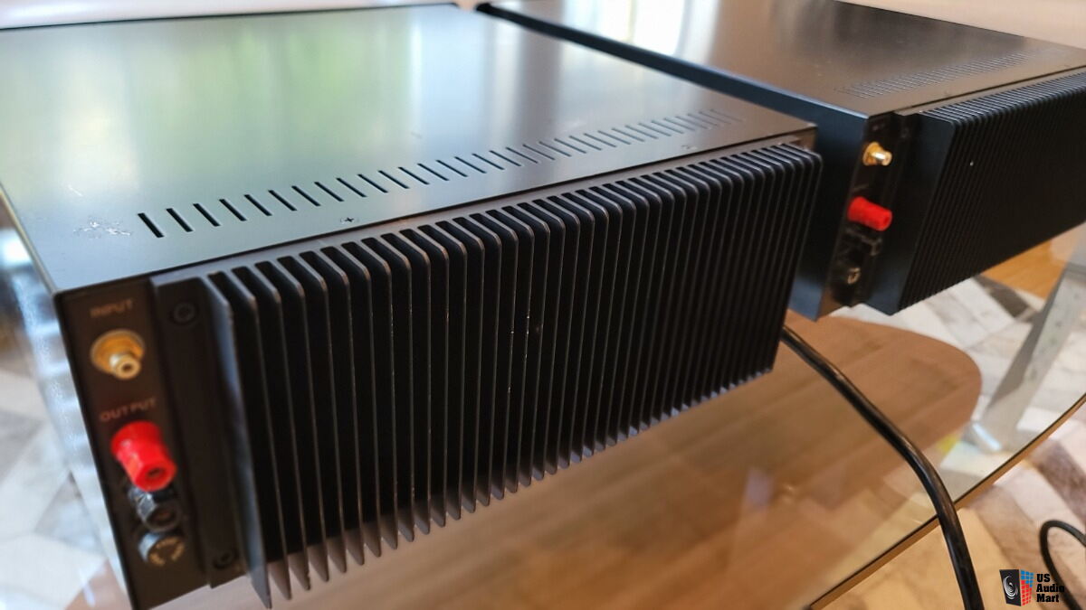 PS Audio Delta 250 Monoblock Amps / Pair Photo #4799802 - US Audio Mart