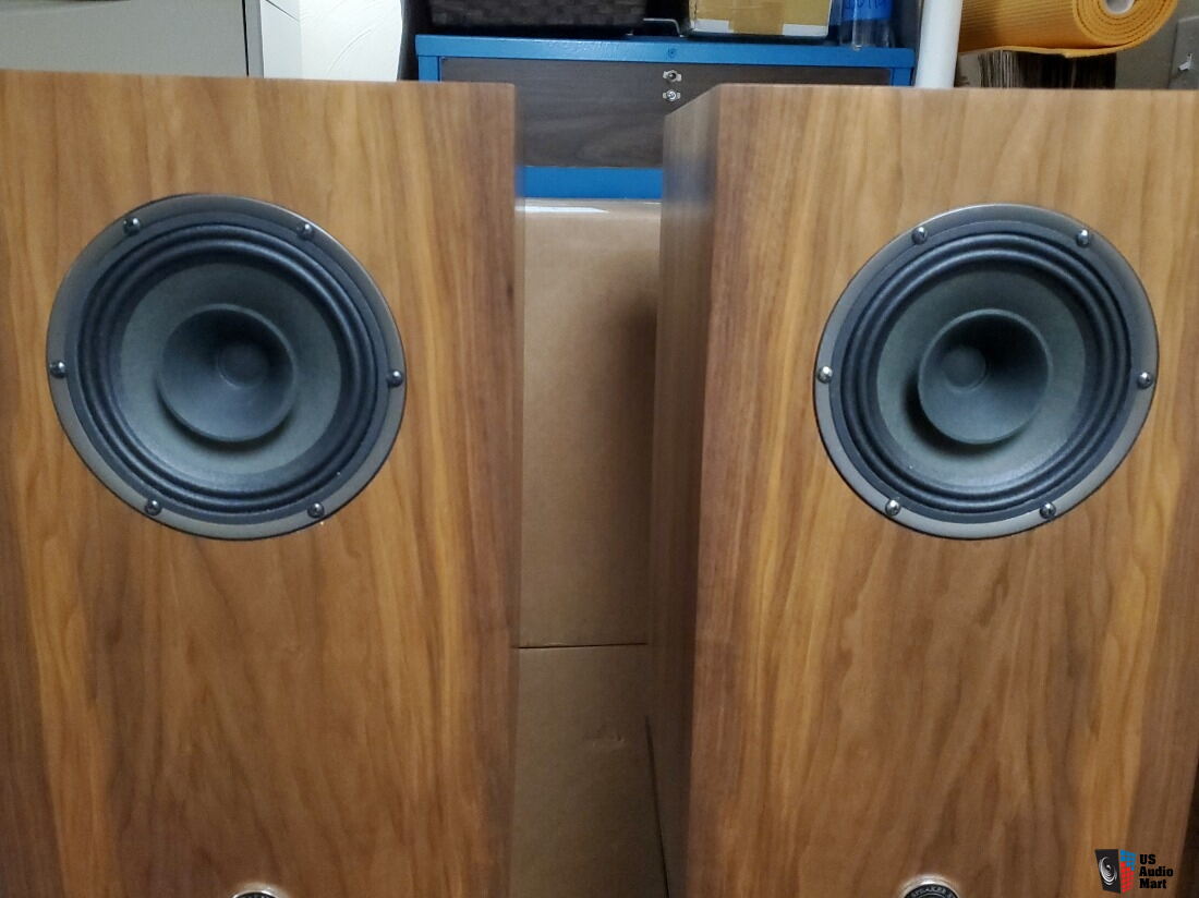 Omega SAMS Walnut Super Alnico Monitors w/Skyland stands - Shipping ...