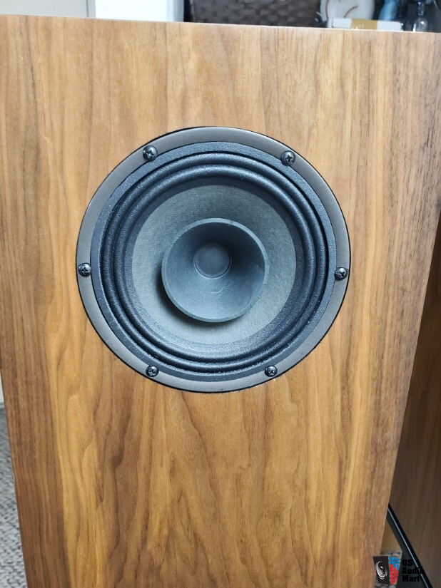 Omega SAMS Walnut Super Alnico Monitors w/Skyland stands - Shipping ...