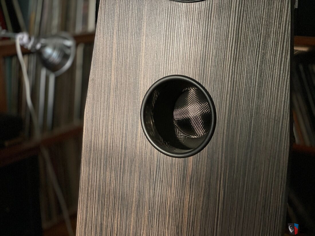 Emerald Physics 2.8 Open Baffle Speakers (all carbon Fiber) Pick Up ...