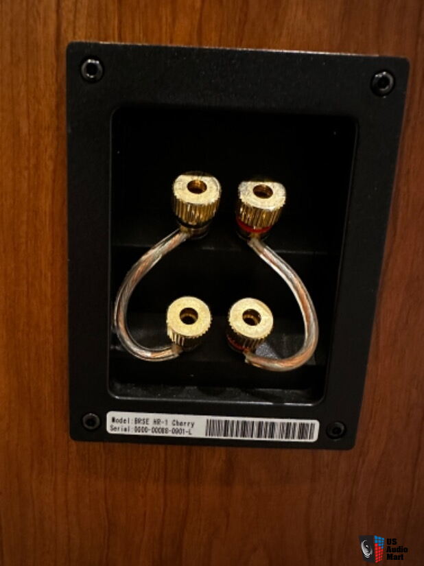 BRSE HR-1 Speakers Photo #4825775 - US Audio Mart