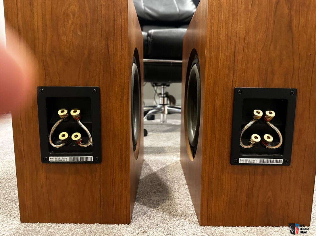 BRSE HR-1 Speakers Photo #4825776 - US Audio Mart