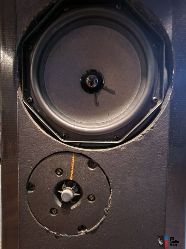 DCM Time Windows Speakers Photo #4828931 - US Audio Mart