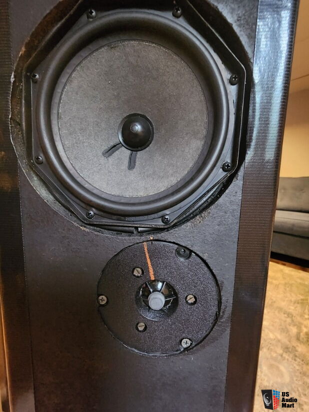 DCM Time Windows 1 Speakers Photo #4828932 - Canuck Audio Mart
