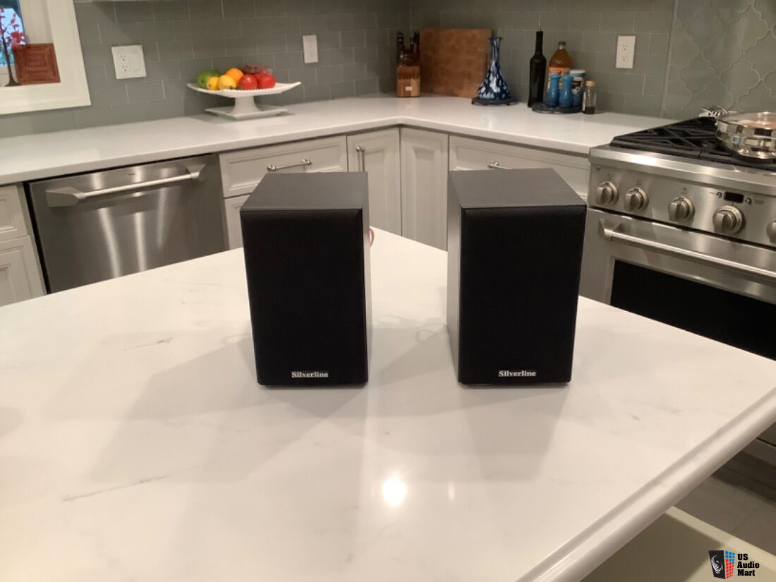 Silverline Minuet Speakers (original) For Sale - US Audio Mart