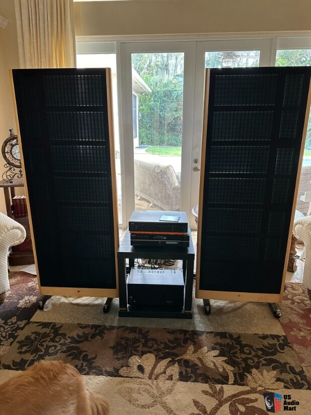 Kingsound King III Speakers Photo #4832394 - US Audio Mart