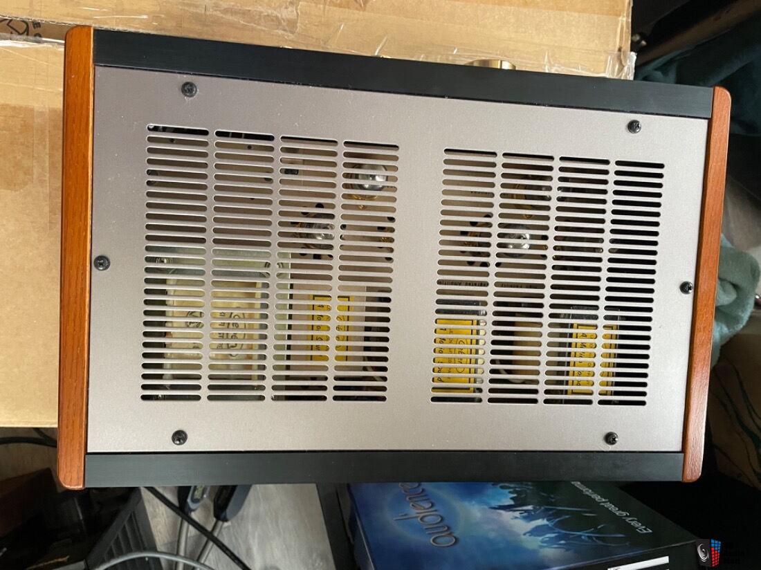 Leben CS300XS Integrated Amplifier Photo #4836831 - US Audio Mart