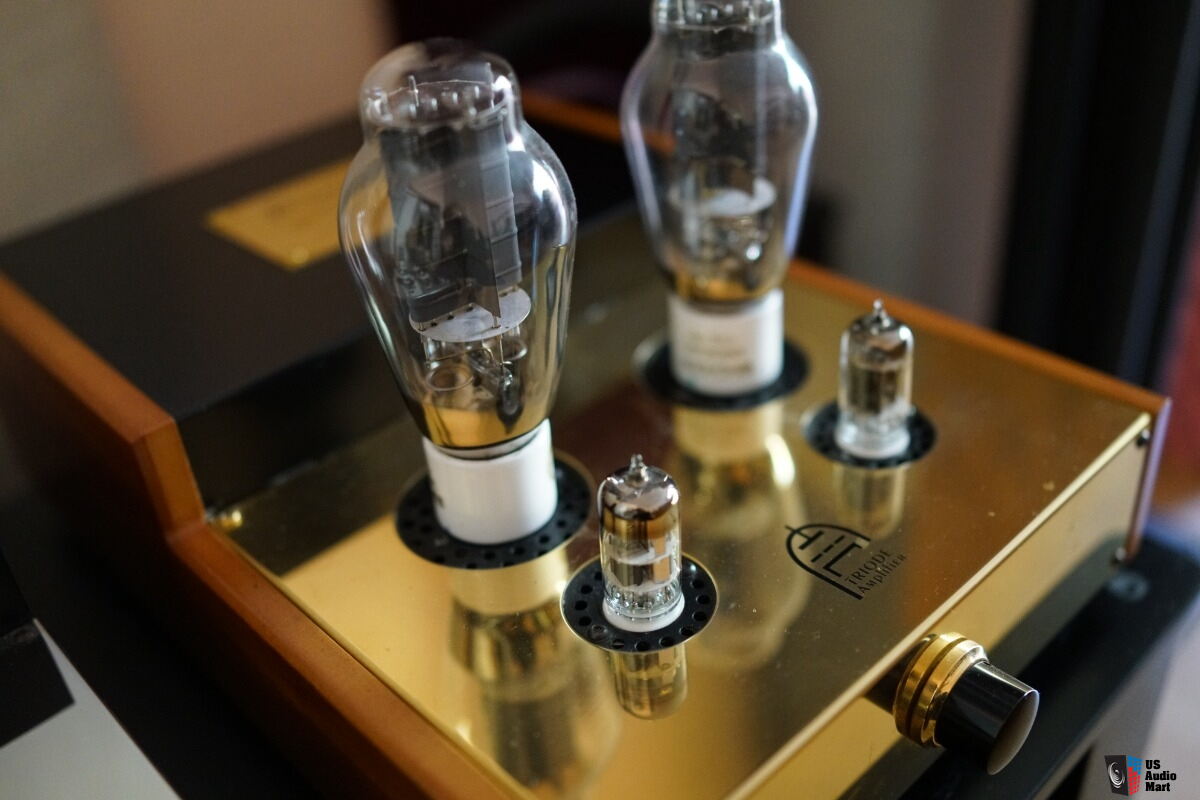 Audion Silver Night 300B PP Tube Monoblocks Photo #4839974 - US Audio Mart