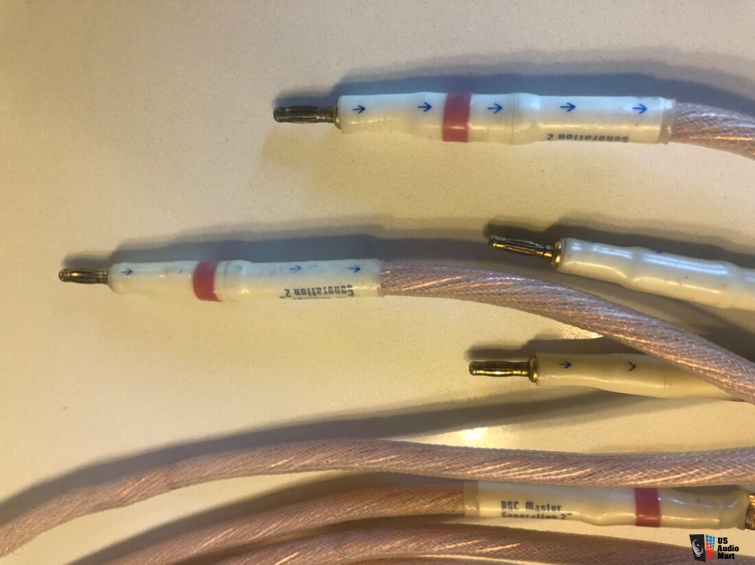 Tara Labs RSC Reference Gen 2 Speaker Cables Photo #4843128 - US Audio Mart